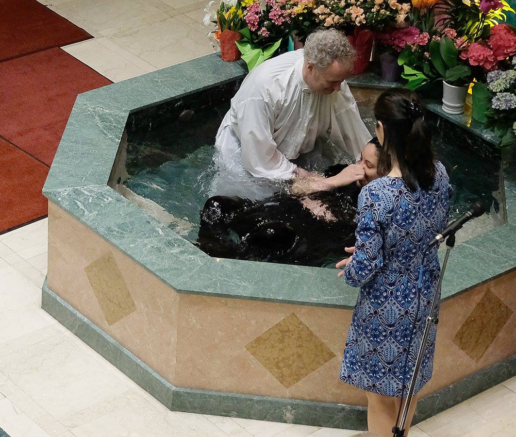 Congratulations on 25 Years, Fr. Rick! – Paulist Fathers